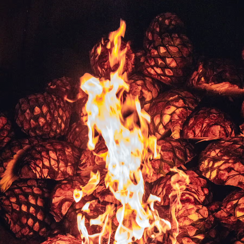 Craft – Mijenta Tequila